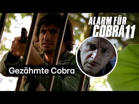 Genies unter sich | Staffel 13, 12 | Erdoğan Atalay & Tom Beck | Ganze Folge | Alarm für Cobra 11