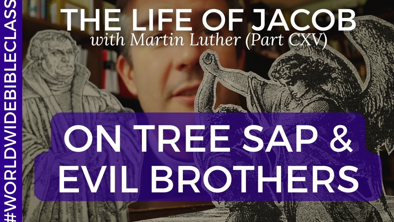 Luther on Genesis 37:25-27 (On Tree Sap & Evil Brothers) - YouTube
