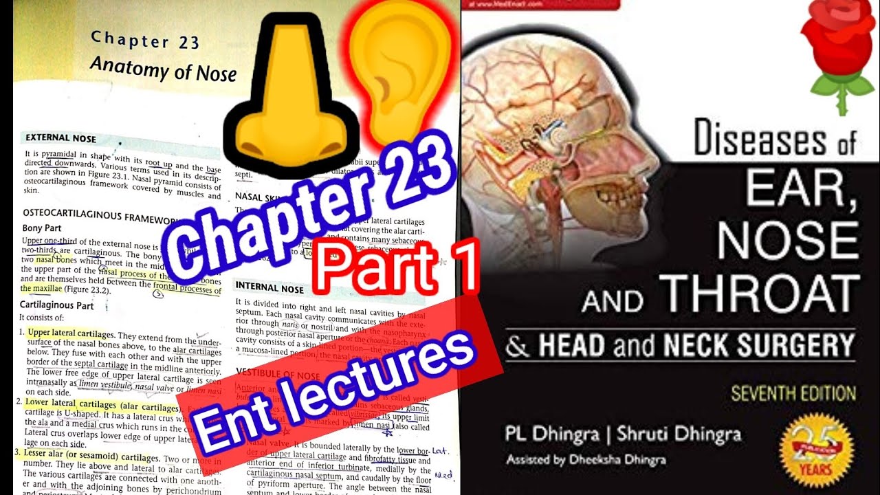 Anatomy and physiology of 👃. nose. 🔴 ENT DHINGRA lectures. CHAPTER 23 ...