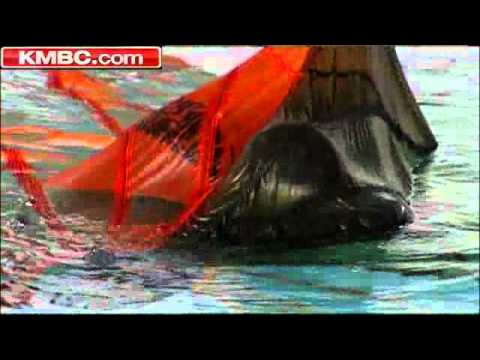 Get An Inside Look At Pilot Water Survival Training - YouTube