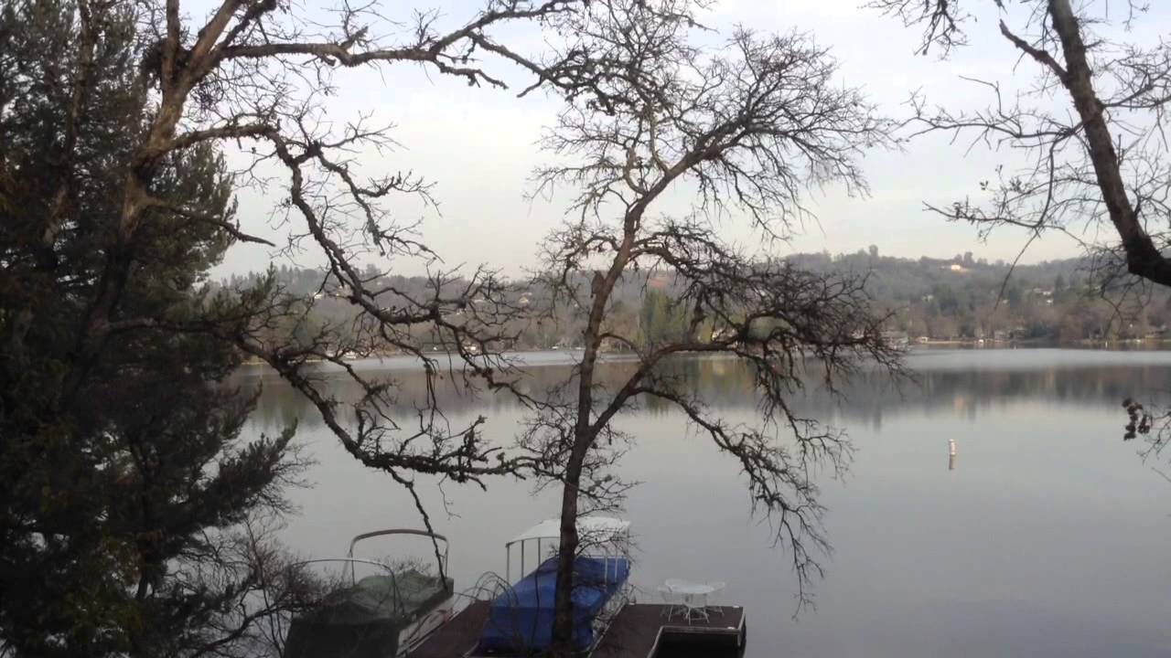 Ring Tailed Hawk - YouTube