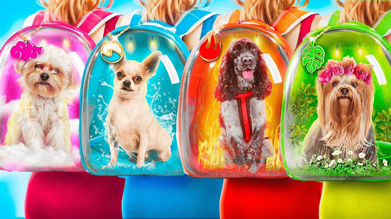 We Build Secret Rooms! Secret Rooms for Pets! We Adopted 4 Elements ...