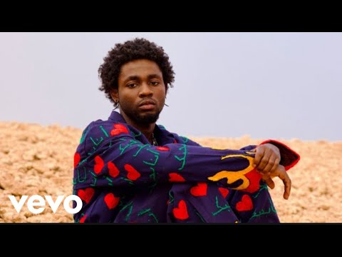 Omah Lay - Don’t Love Me (Official Video Edit)