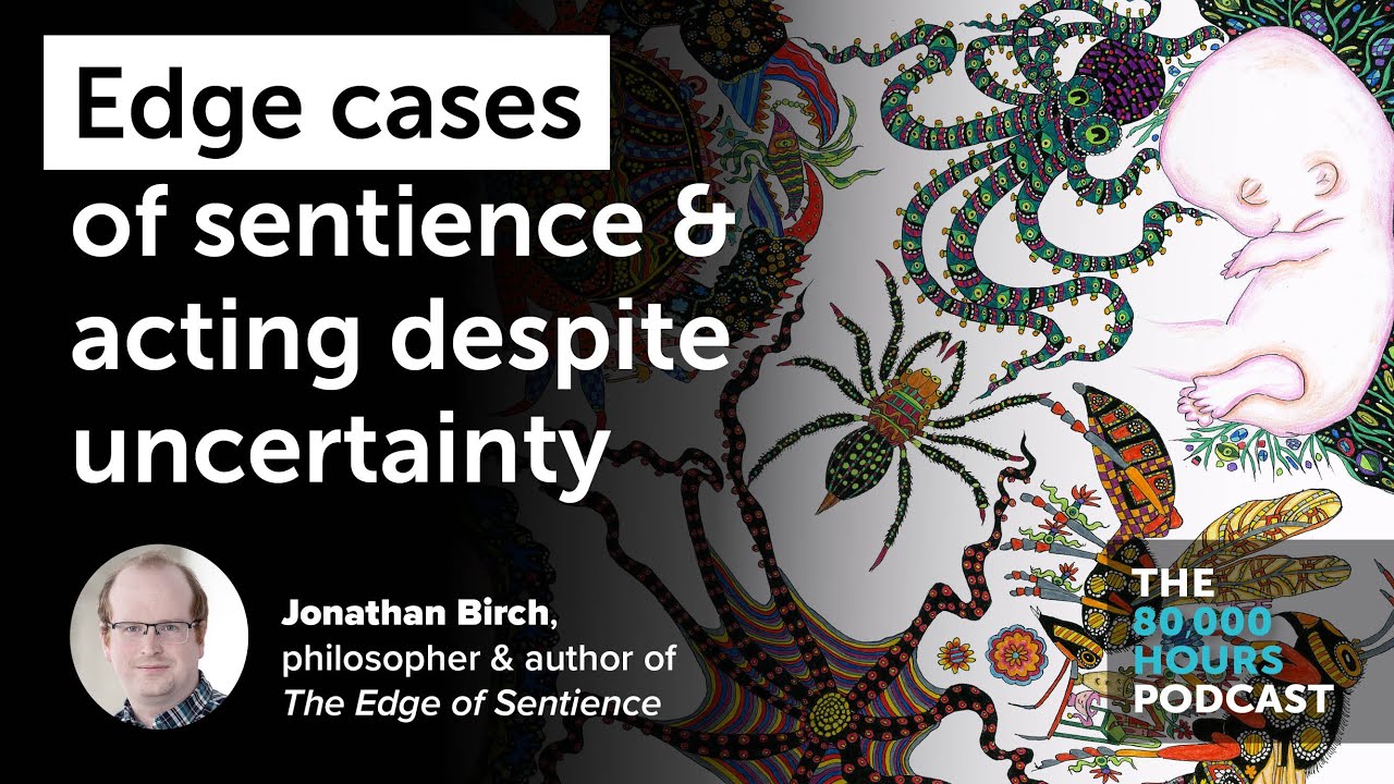 Edge cases of sentience & how to act ethically despite massive ...