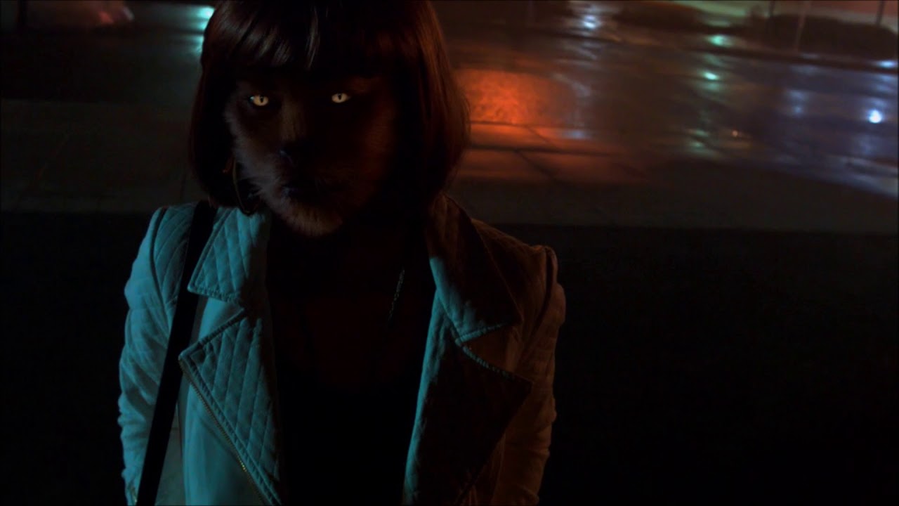 TF Woman Cat Morph - YouTube