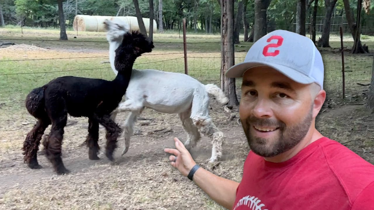 Jerry is Back in Action! BUT It's SOOO Hot! - YouTube