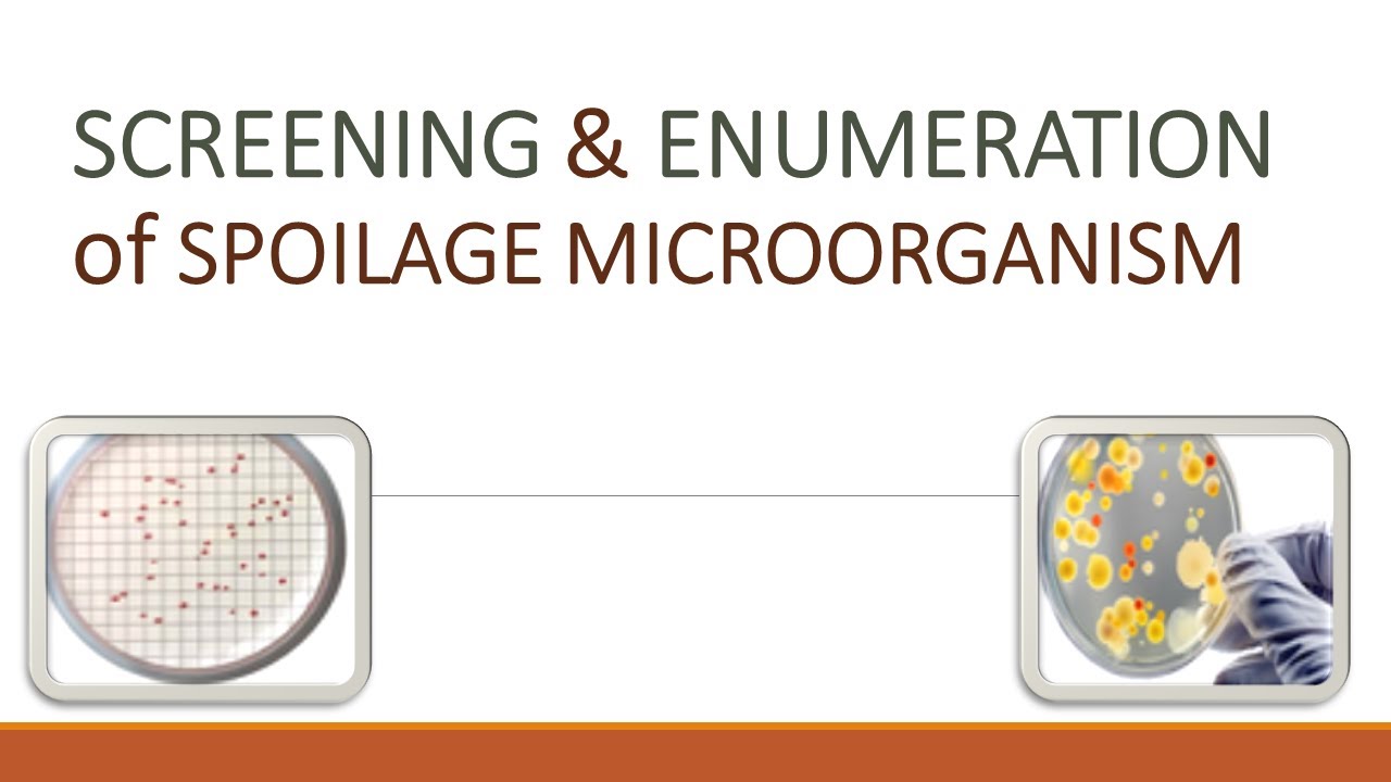 SCREENING AND ENUMERATION OF SPOILAGE MICROORGANISMS - FOOD ...