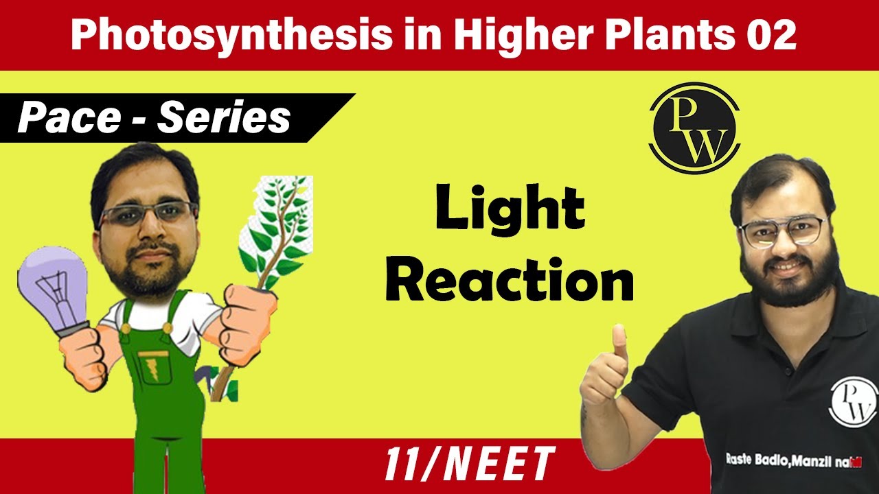 Photosynthesis in Higher Plants 02 | Light Reaction I Class 11 l Pace ...