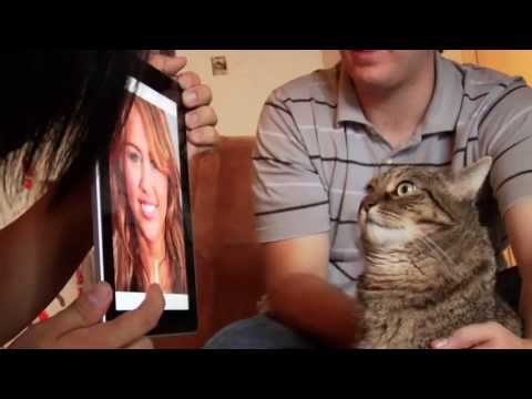 Кот Расист / Racist Cat