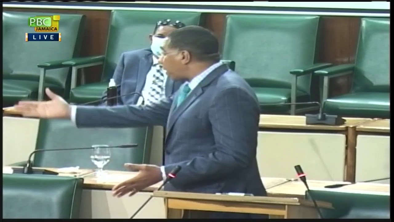 Sitting of the House of Representatives - April 21, 2020 - YouTube