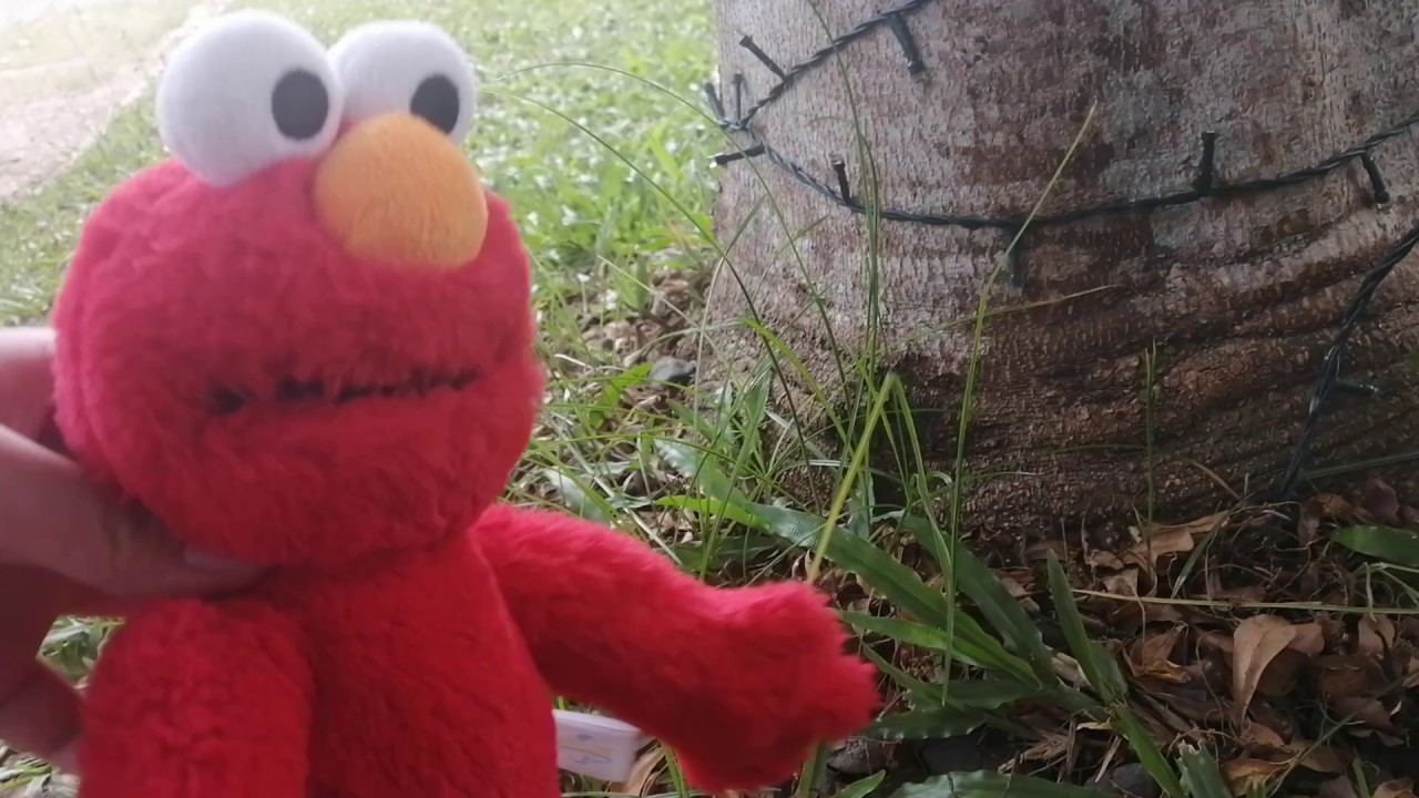 Elmo climbs a tree - YouTube