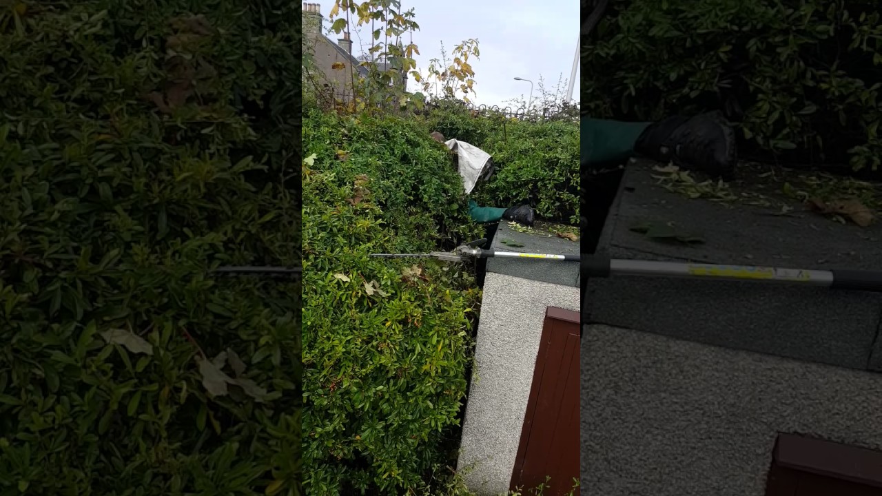 Angry gardener - YouTube