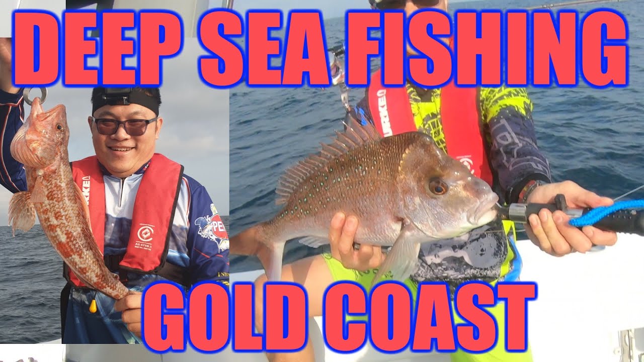 GOLD COAST DEEP SEA FISHING - SNAPPER & TAILOR - YouTube