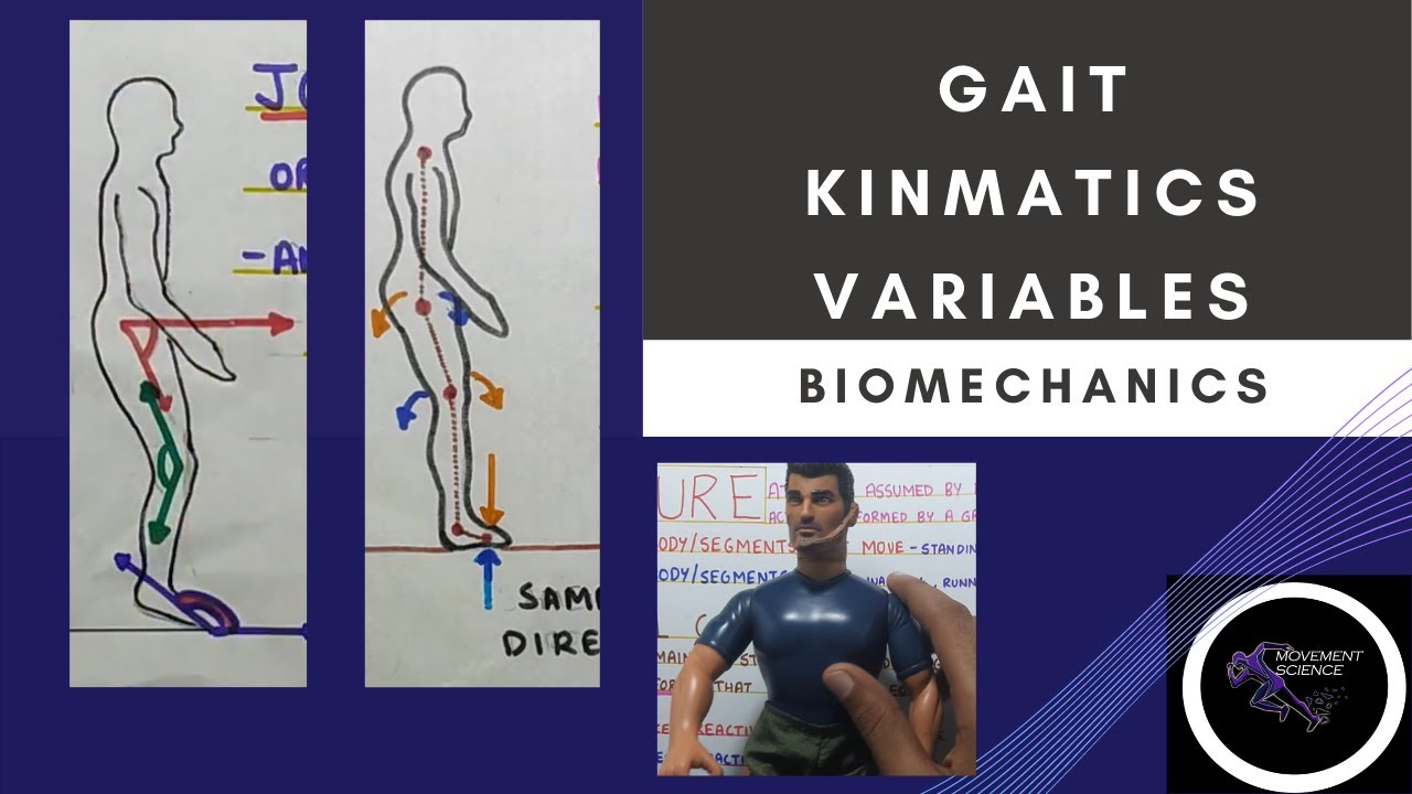 GAIT KINEMATICS VARIABLES (Gait Biomechanics)Physiotherapy Tutorial ...