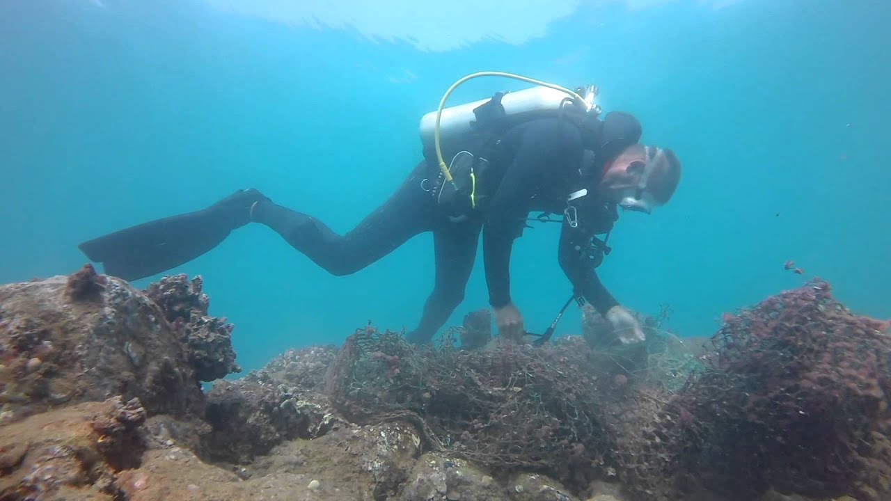 Reef Clean UP - YouTube