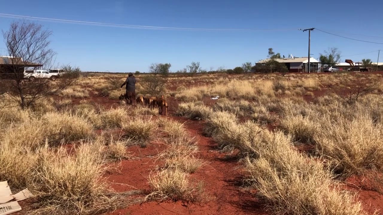 Patjarr Community, Gibson Desert, Western Australia - YouTube