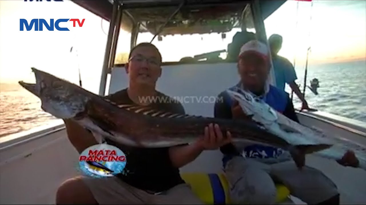 Ikan Escolar