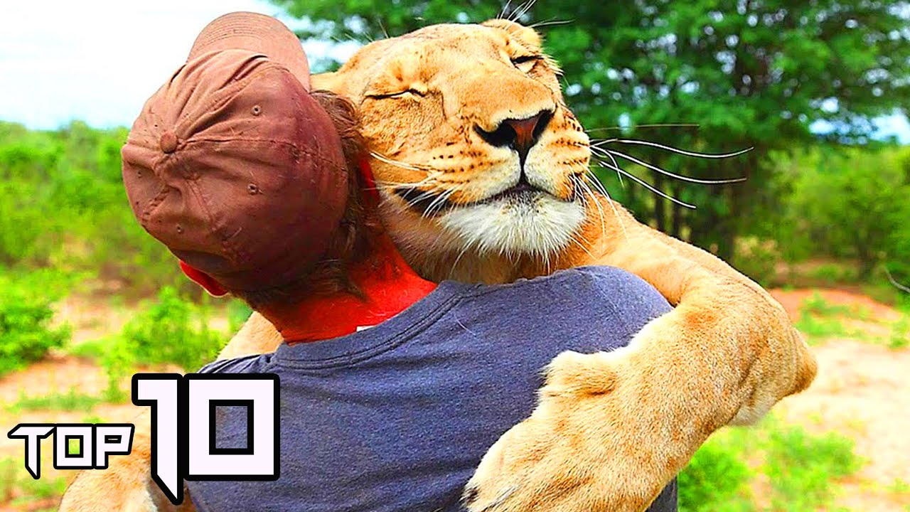 10 Incredible FRIENDSHIPS Between Humans And Animals | Things Around ...