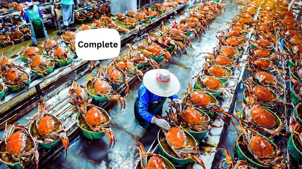 CANNED SEAFOOD Making Process from Crab, Tuna, Oyster, Prawn in Factory ...