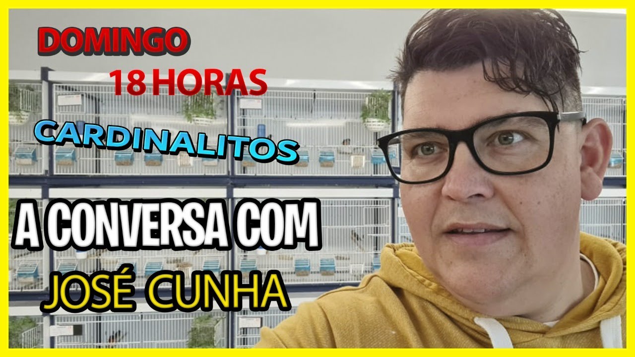 A conversa com - José Cunha - Criador de Cardinalitos - Portugal - YouTube