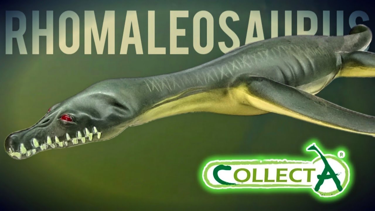 Collecta Deluxe Rhomaleosaurus Review!!! - YouTube