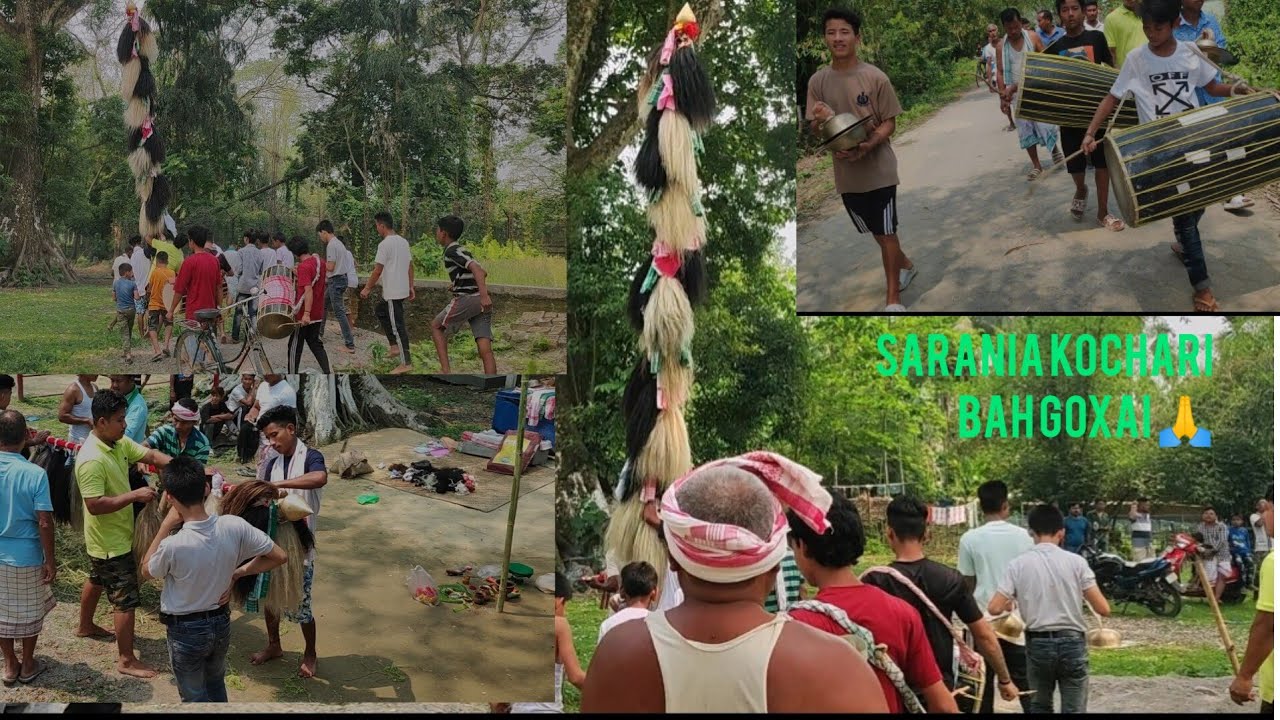Sarania kochari Bah Goxai ️💚🙏@gareebmsvlogs213 - YouTube