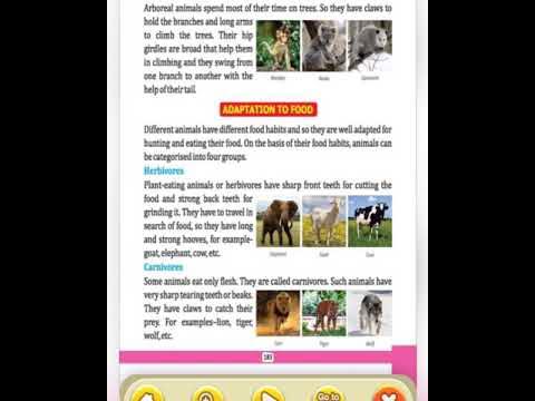 Class 4 Animals - Living and survival - YouTube