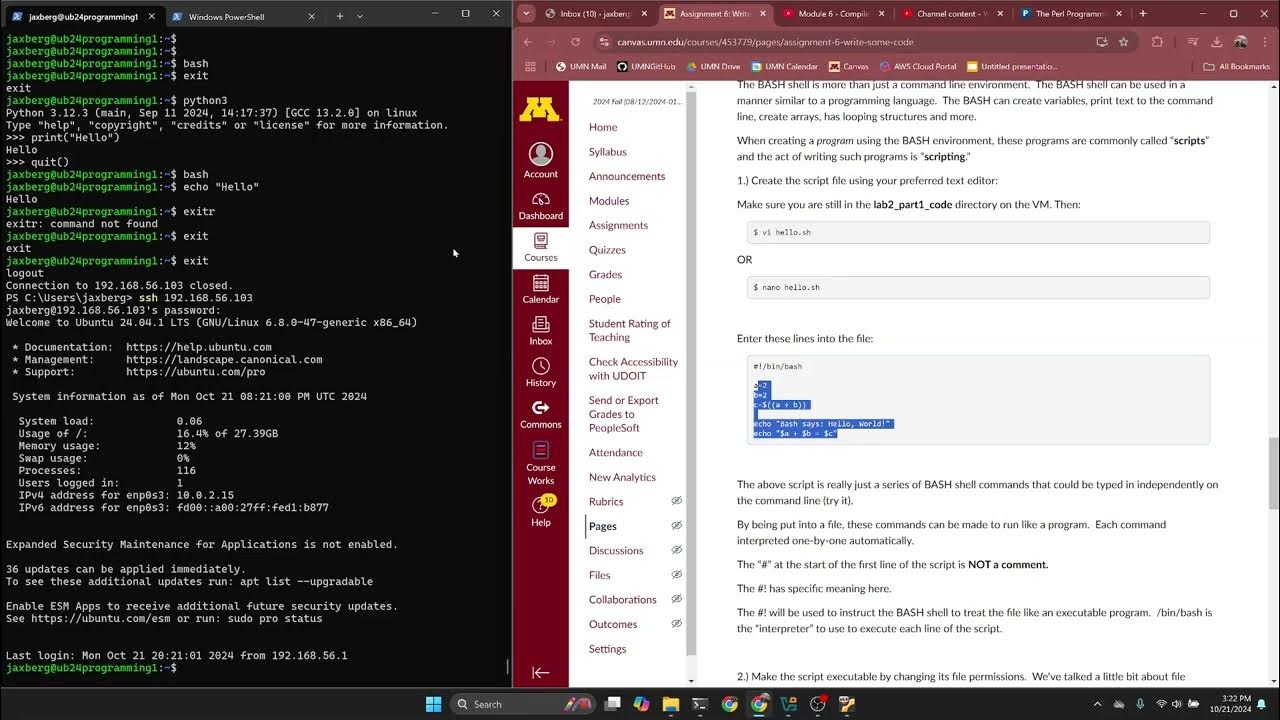 BASH Shell Basics - YouTube