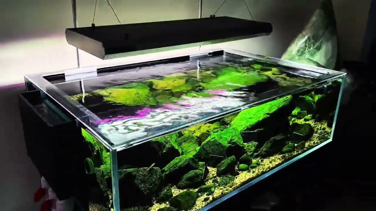 Pondon YouTube – My WordPress