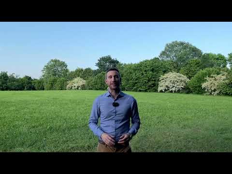 🌳La zona di 𝗥𝗨𝗕𝗔𝗡𝗢 e 𝗕𝗢𝗦𝗖𝗢 𝗗𝗜 𝗥𝗨𝗕𝗔𝗡𝗢 🌳