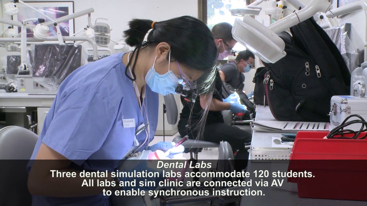 University of Louisville School of Dentistry Tour - YouTube