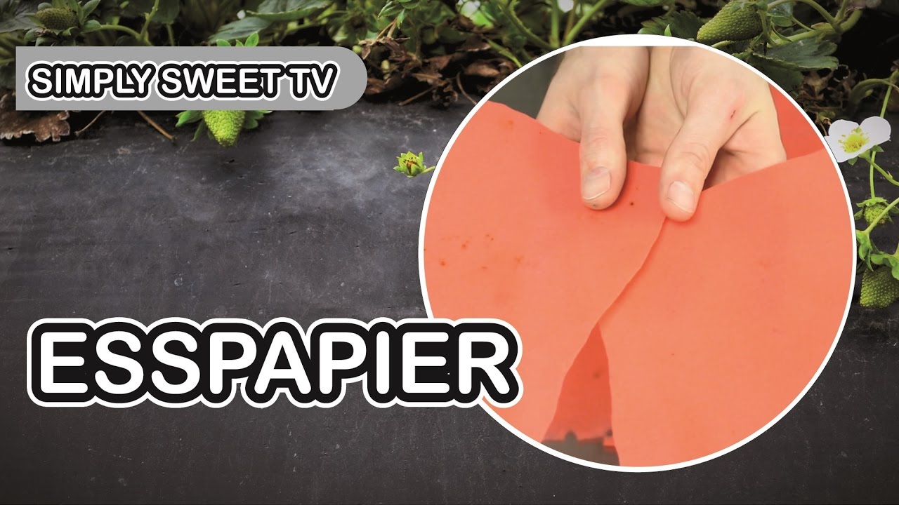 Esspapier - YouTube