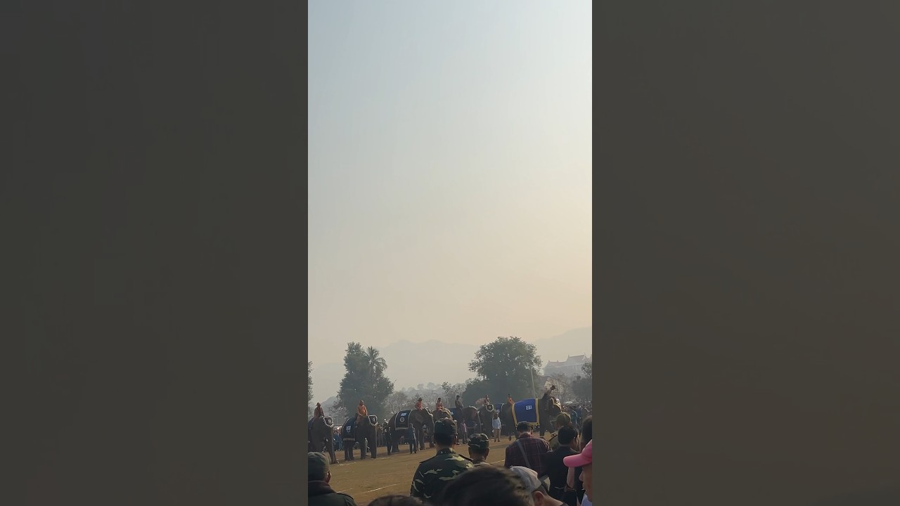 Elephant festival 2024 XAYABOULY PROVINCE LAOS🇱🇦🇱🇦🇱🇦17-18 FEB 2024 ...