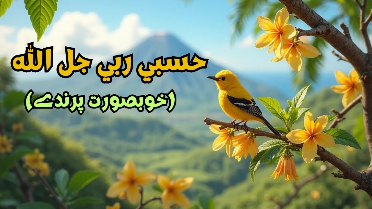 Ertugrul Hasbi Rabbi Jallallah | Beautiful Birds on Earth | Birds ...