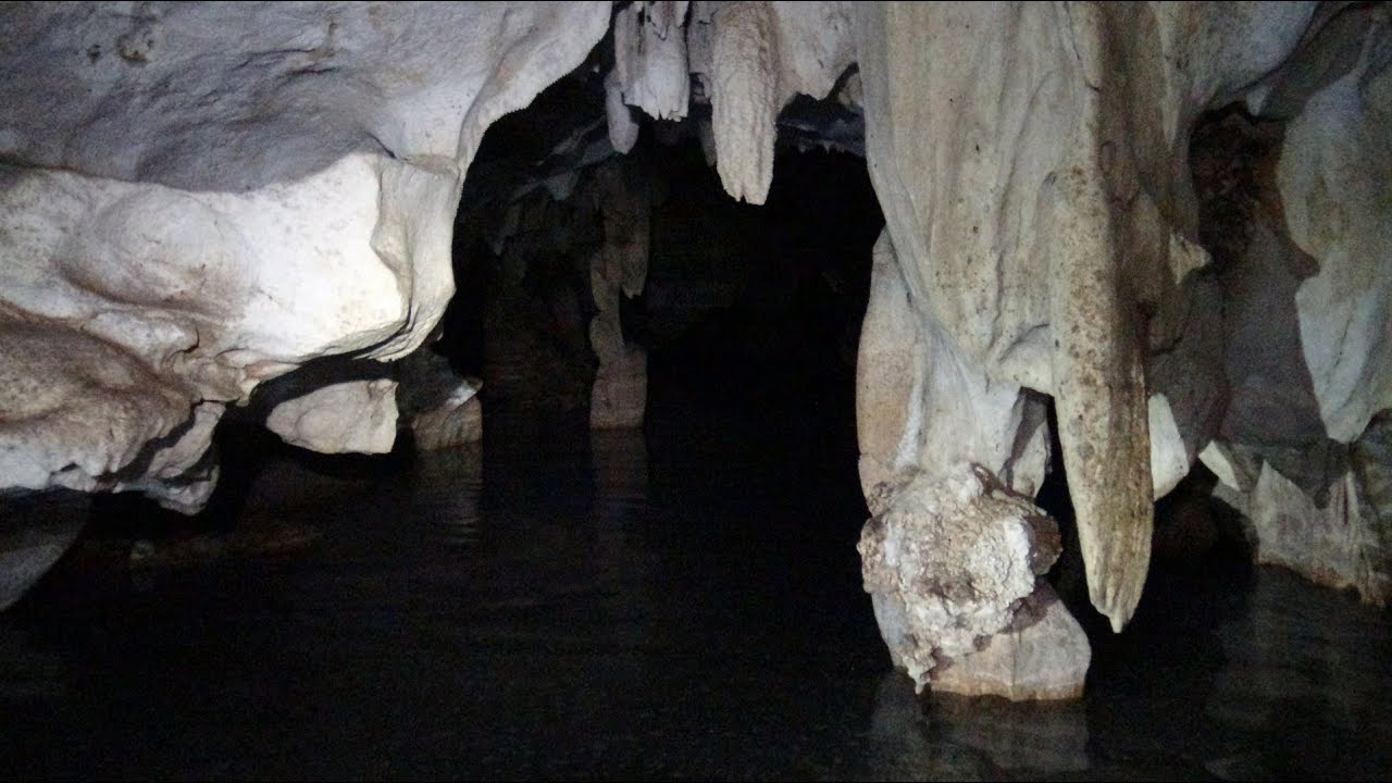 Jackson Bay Great Cave and Lloyd's Cave, Nov 11, 2023 - YouTube