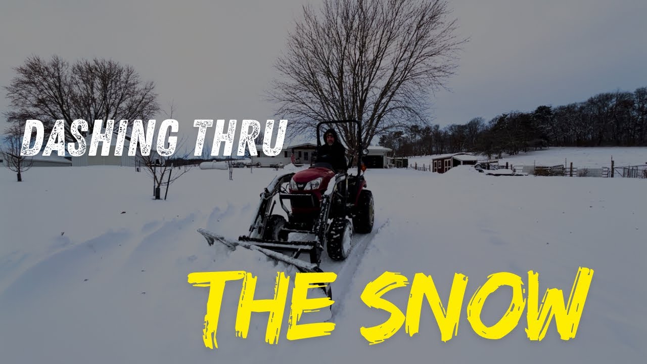 Dashing Thru the Snow - YouTube