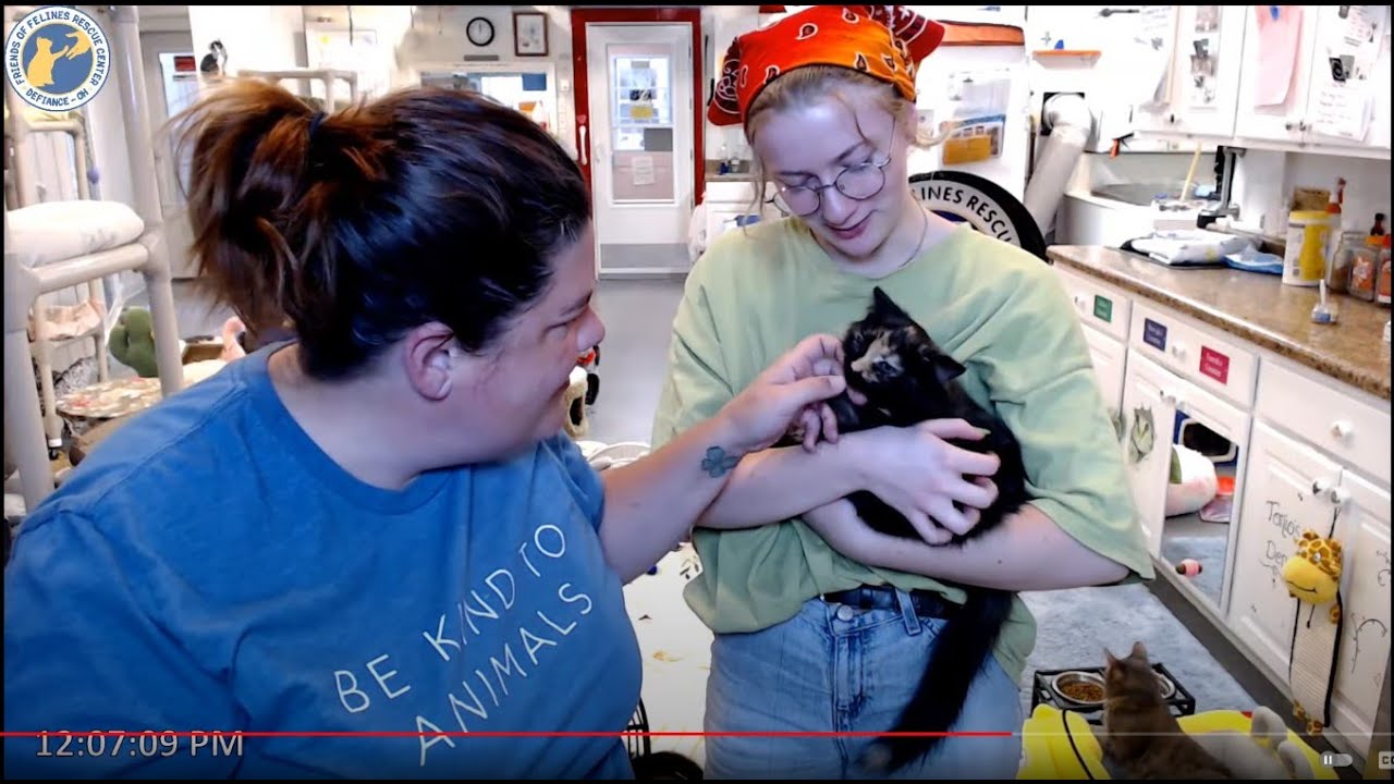 Adoption of Ellen 05-28-2023 Friends of Felines Rescue Center (FFRC ...