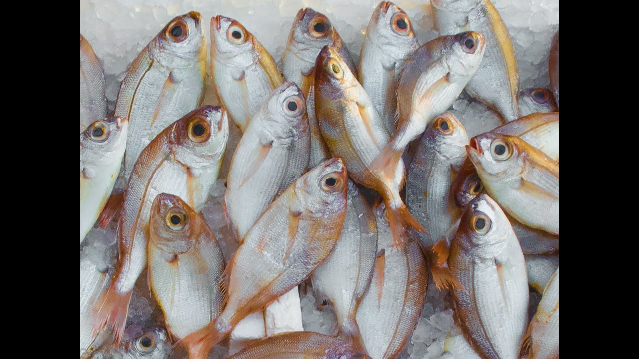 Sardiyon ki khass dish....tali hui machli. - YouTube