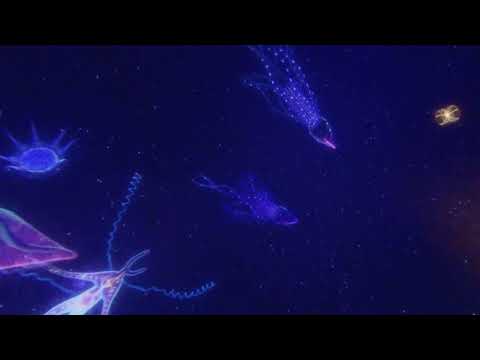 Jodrell Bank Space Dome Experience