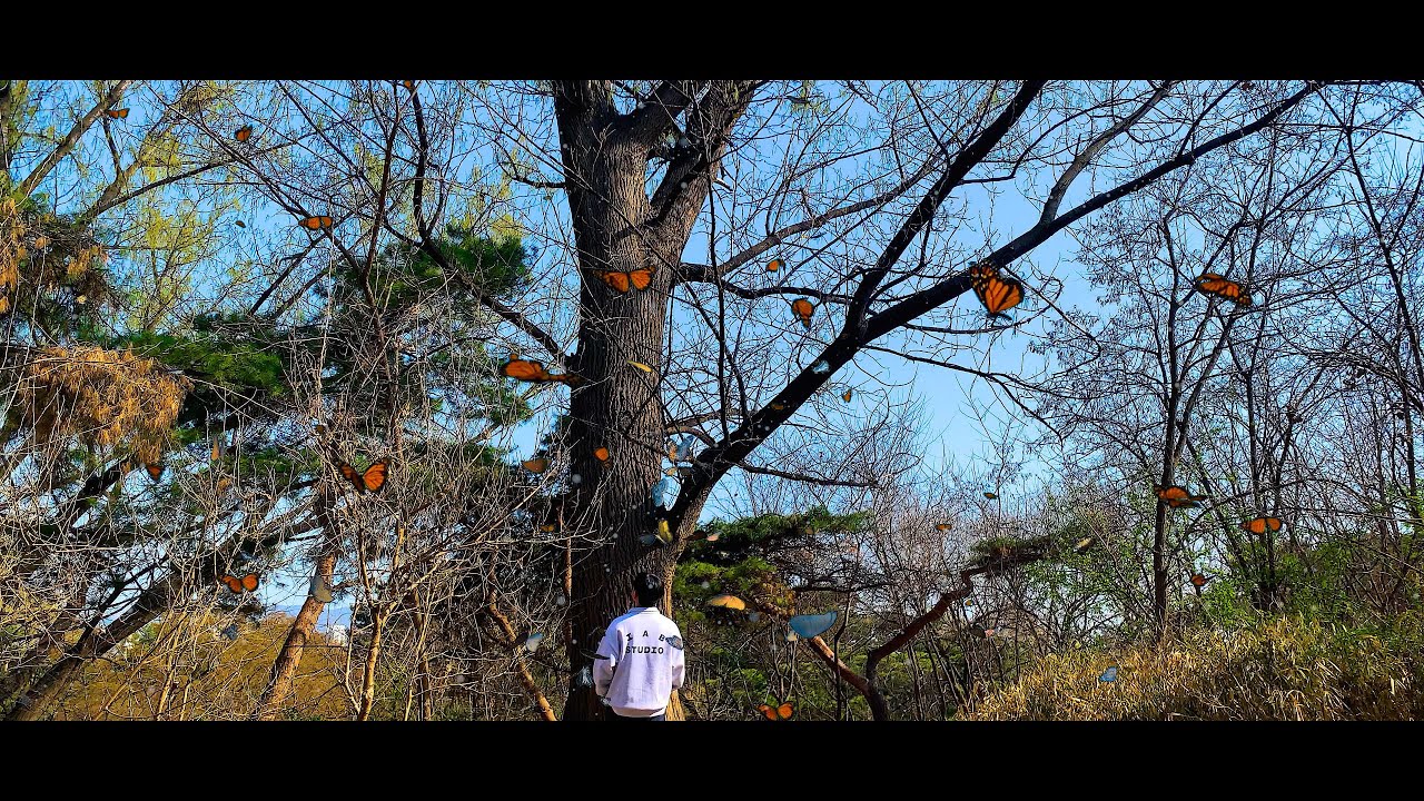 DPR LIVE - BOOM (Feat. DPR IAN) | from the COLORS M/V - YouTube