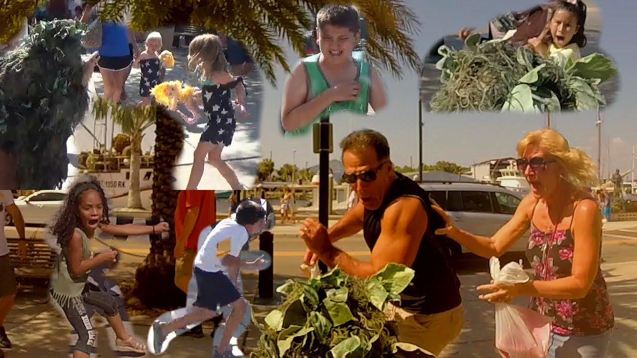 making kids lose their minds. bushman prank 003 - YouTube