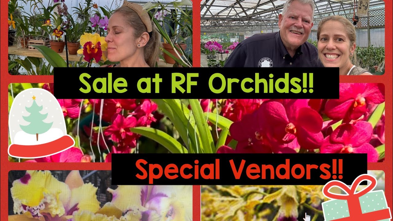 Breathtaking Orchid Event- RF Orchids! - YouTube