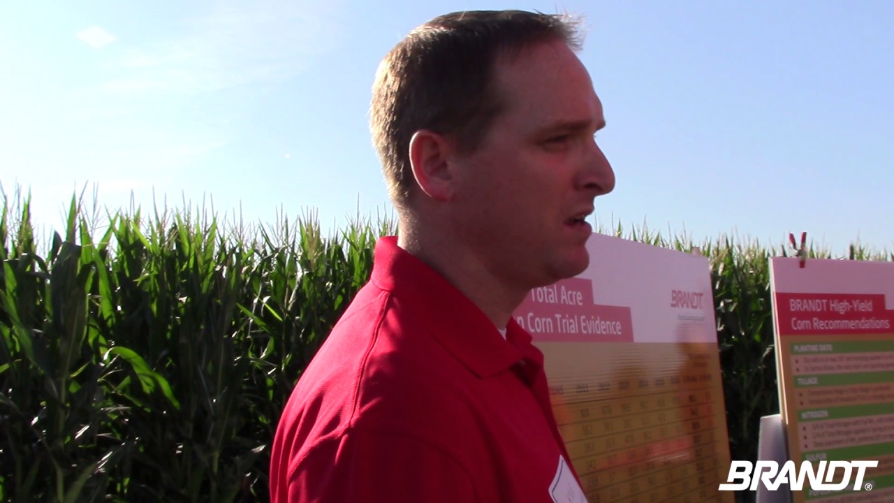 BRANDT Agronomy Update: High-Yield Corn Demonstration - YouTube