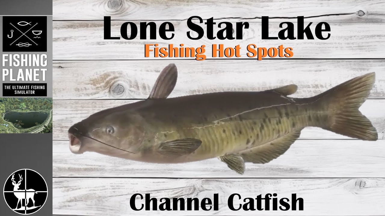 How to Catch Channel Catfish | Lone Star Lake | Fishing Planet Hot ...