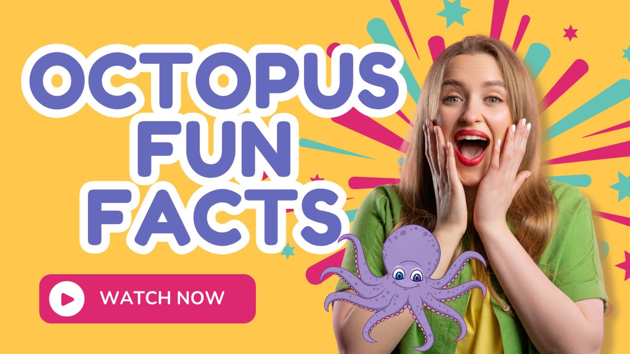 Fun Facts Octopus - YouTube