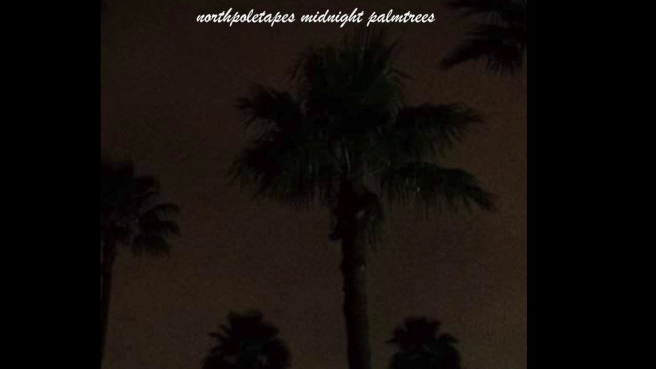 NORTHPOLETAPES - MIDNIGHT PALM TREES - YouTube
