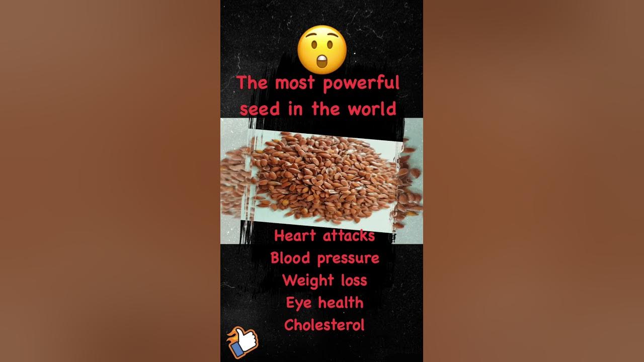 ‼️🫢THE MOST POWERFUL SEED ON THE EARTH 🌍 ‼️‼️😲 - YouTube