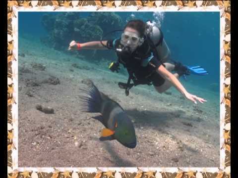 Enigma - Moment of Peace - YouTube