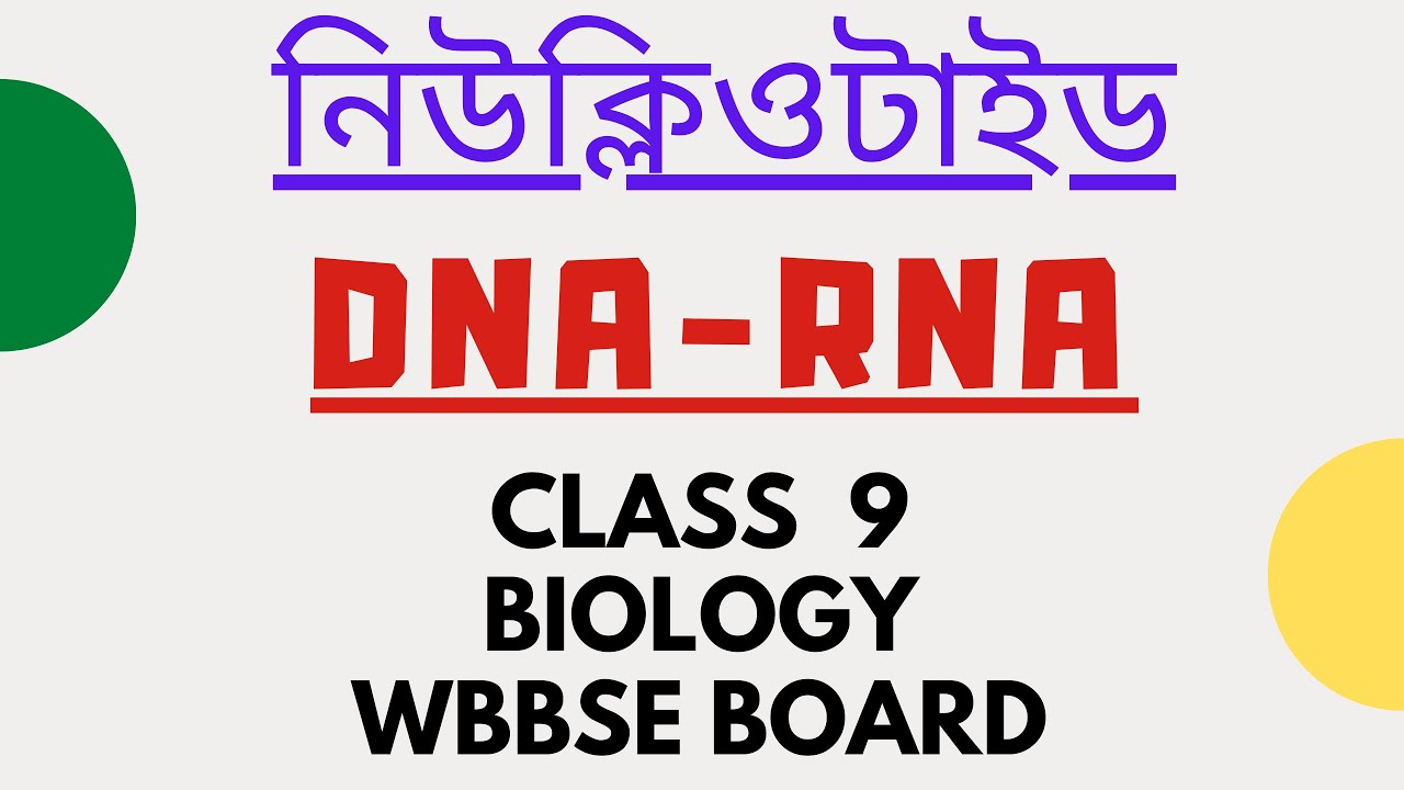 nucleotide // DNA - RNA // CLASS 9 BIOLOGY //CHAPTER 2 - YouTube