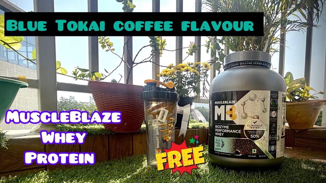 MuscleBlaze Biozyme Performance Whey, 2 kg (4.4 lb) | Blue Tokai Coffee ...